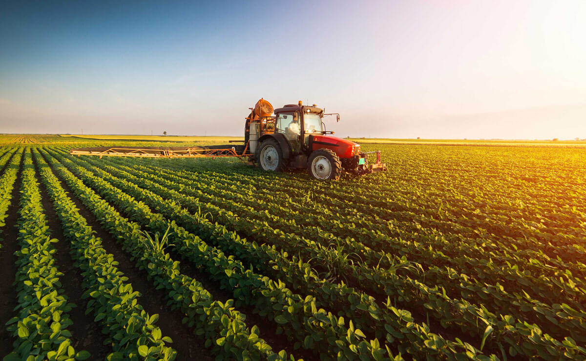 Home | Prestige Assurance PLC